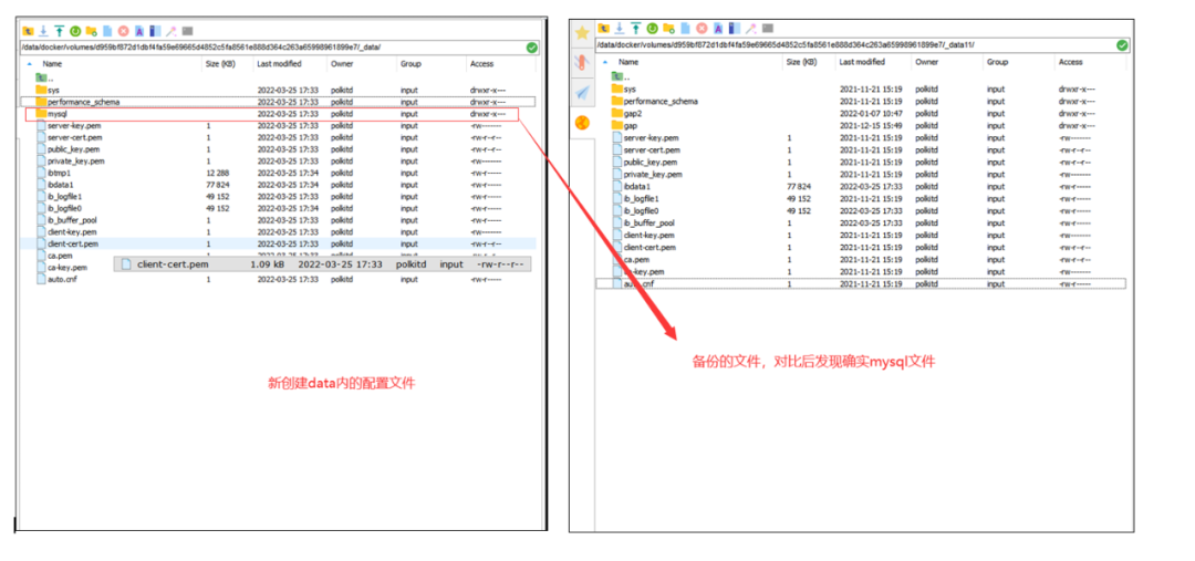 Docker启动mysql失败分析 墨天轮