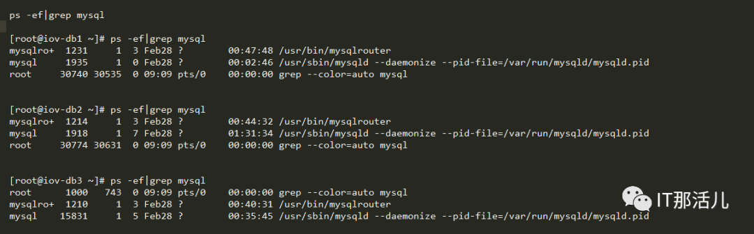 MySQL-MGR集群问题处理及数据迁移 - 墨天轮