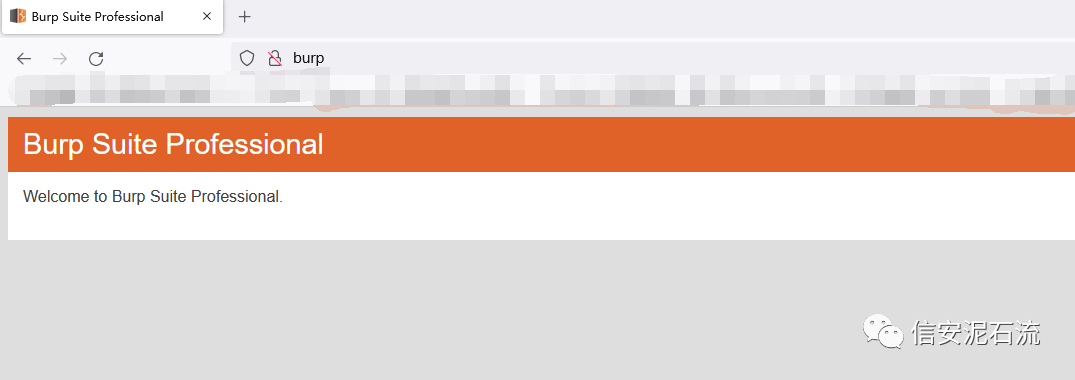 burp从溯源到反制思路 - 墨天轮