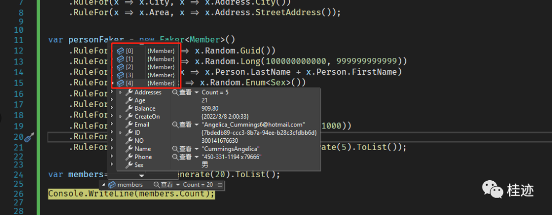 Vs2022之debuggervisualizer 墨天轮 