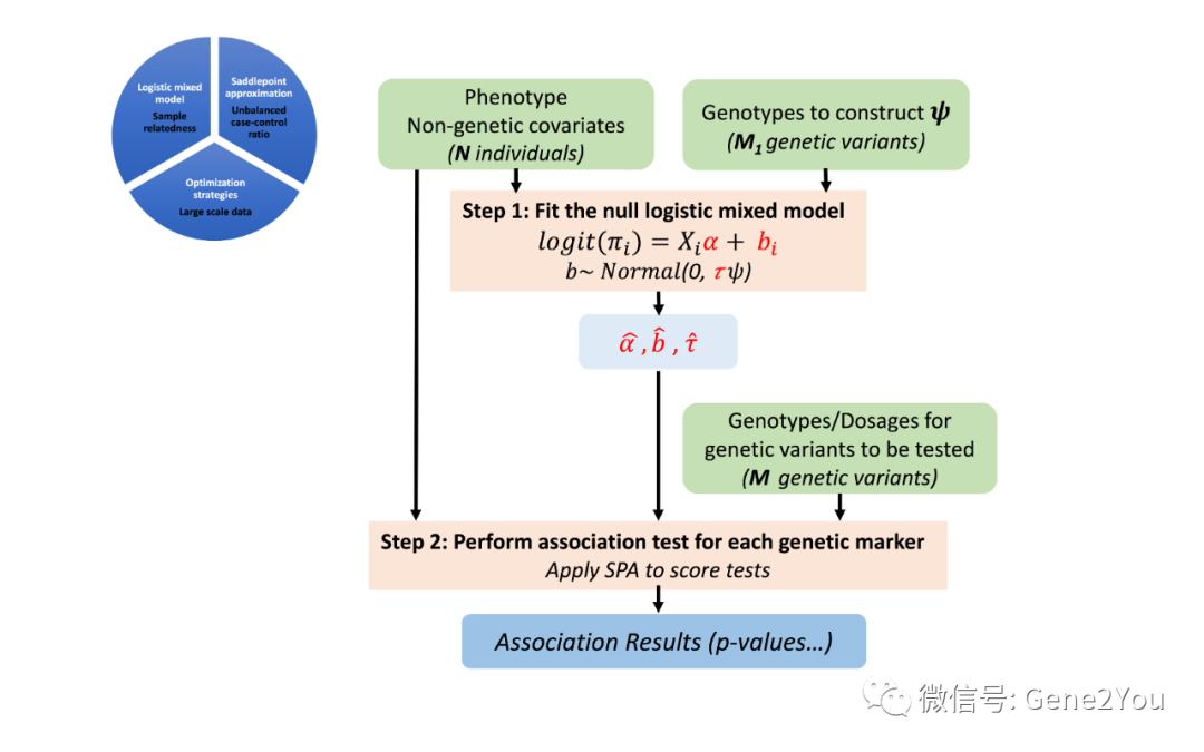 GWAS分析|SAIGE-GENE安装及使用指南 - 墨天轮