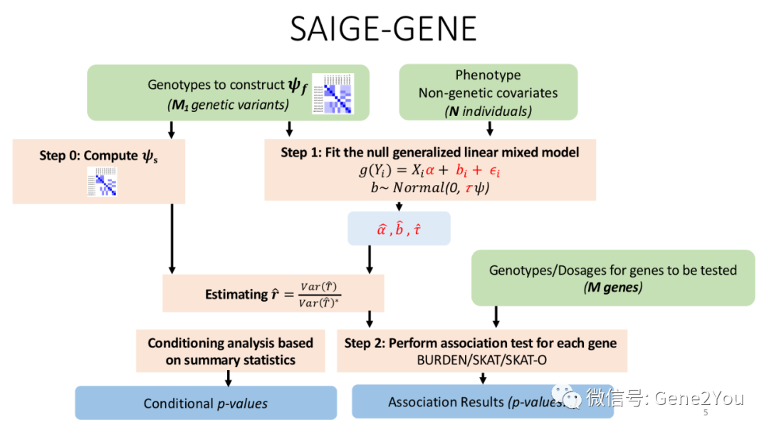 GWAS分析|SAIGE-GENE安装及使用指南 - 墨天轮