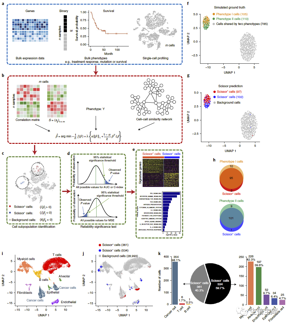 Scissor:整合bulk+scRNA鉴定功能亚群 - 墨天轮