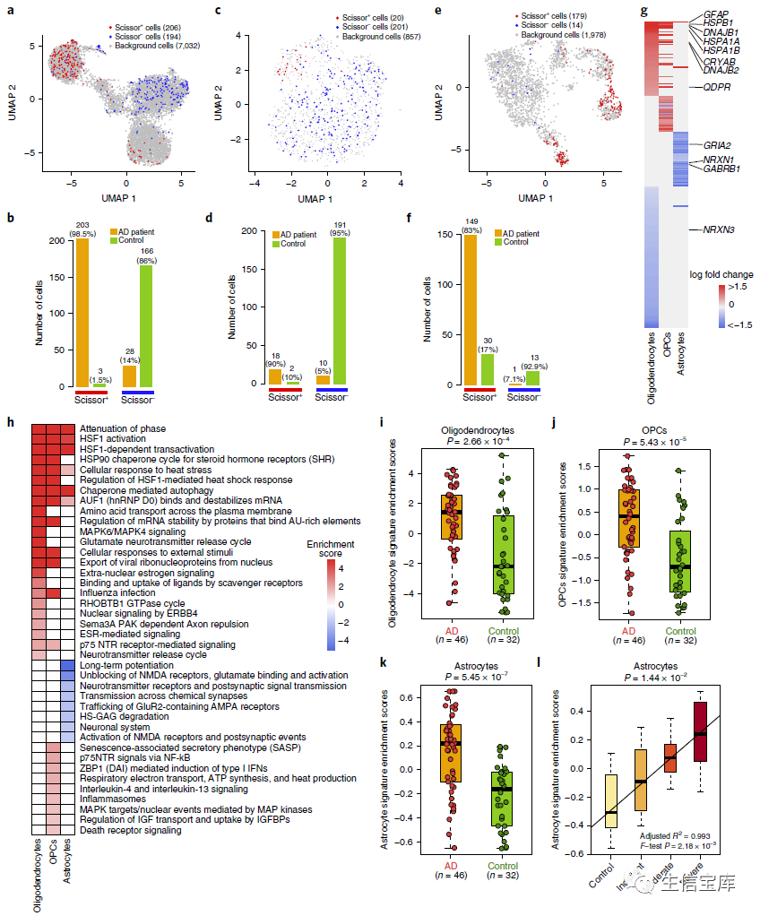 Scissor:整合bulk+scRNA鉴定功能亚群 - 墨天轮