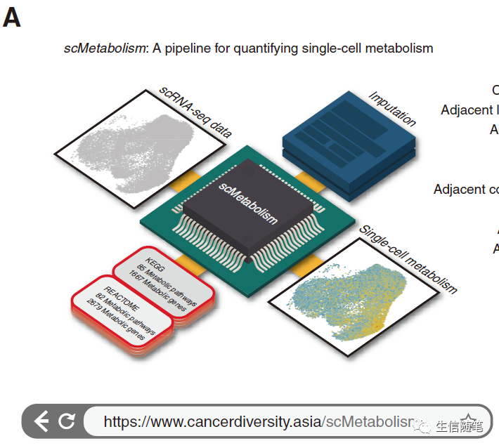 跟着Cancer Discovery学代谢 R包scMetabolism - 墨天轮