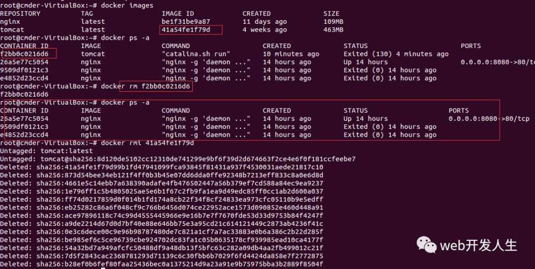 Docker容器镜像删除 墨天轮