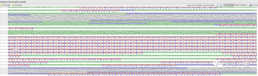 认识NCBI - 墨天轮